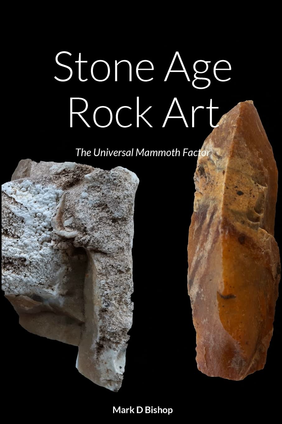 Stone Age Rock Art: The Universal Mammoth Factor: Bishop, Mark D ...