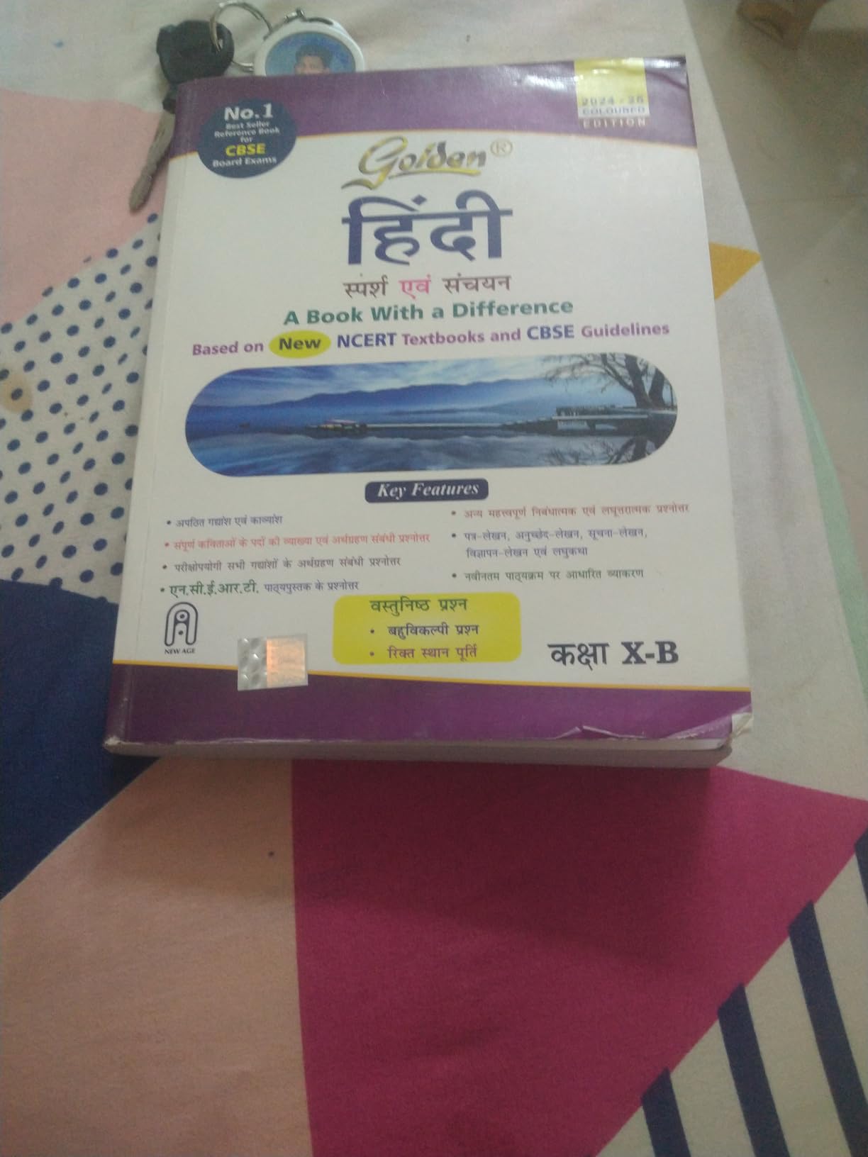 Golden Hindi: Based on NEW NCERT Sparsh and Sanchayan for Class- 10 ...