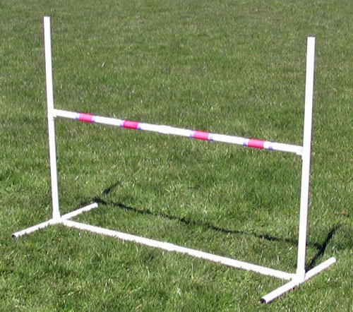 Best Dog Agility Jumps for Official Training (AKC) or Home Exercise