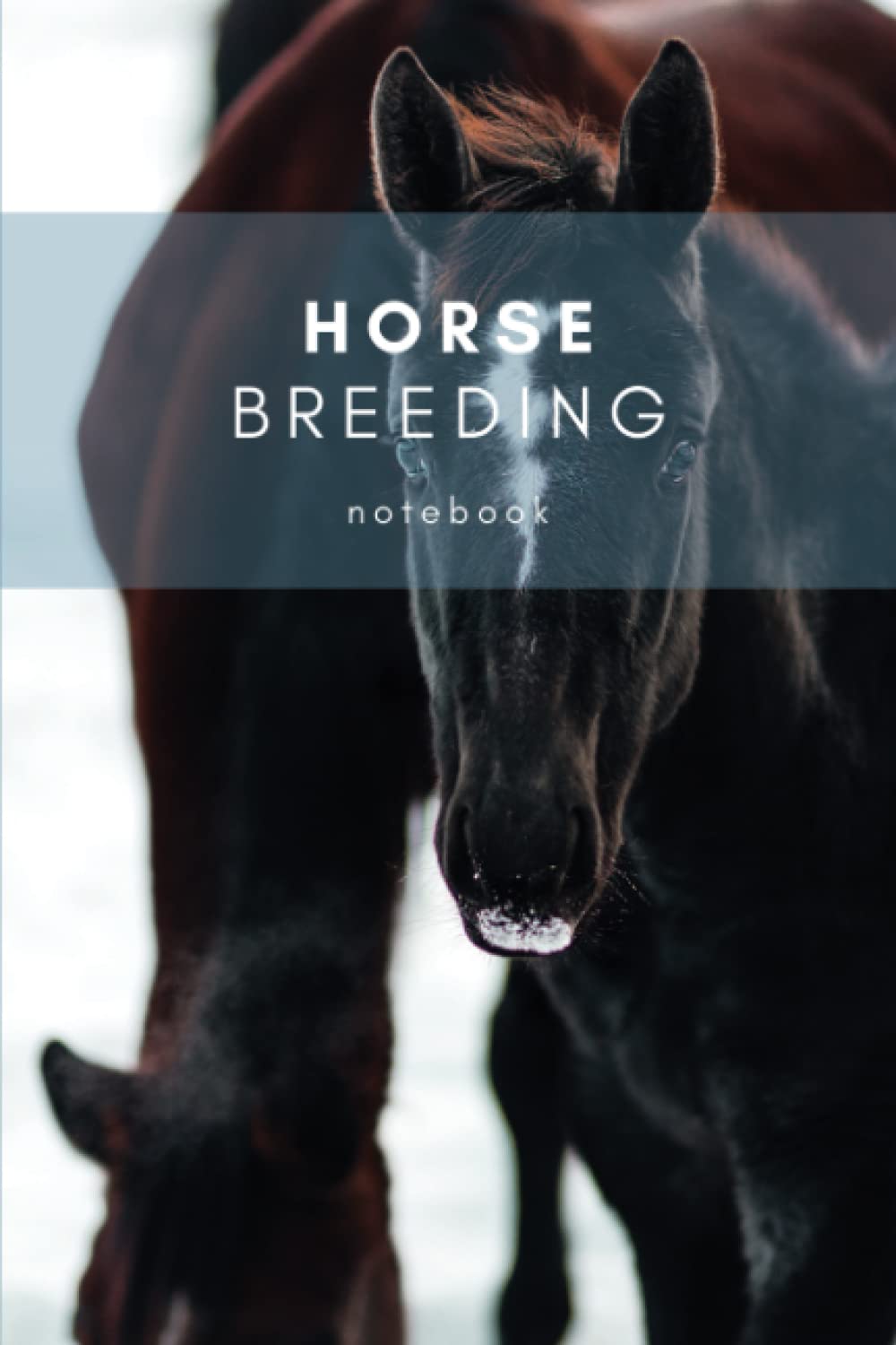 Horse Breeding Notebook: Notebook for breeding and raising horses ...