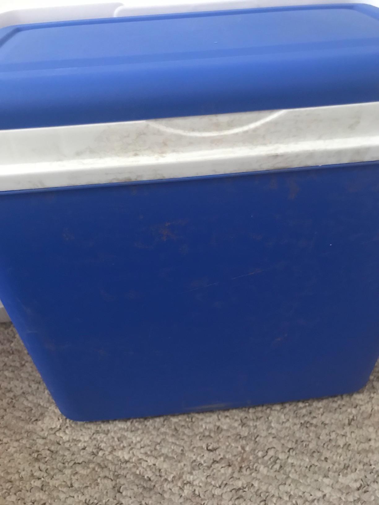 ADRIATIC Large 24 Litre Cooler Box Camping Beach Lunch Picnic Insulated ...