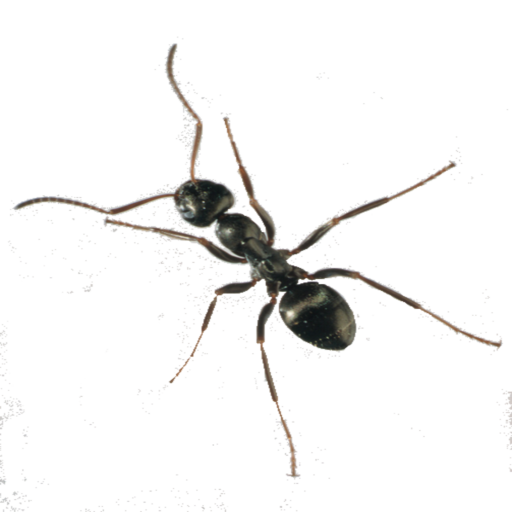 Ant Zap - App on Amazon Appstore