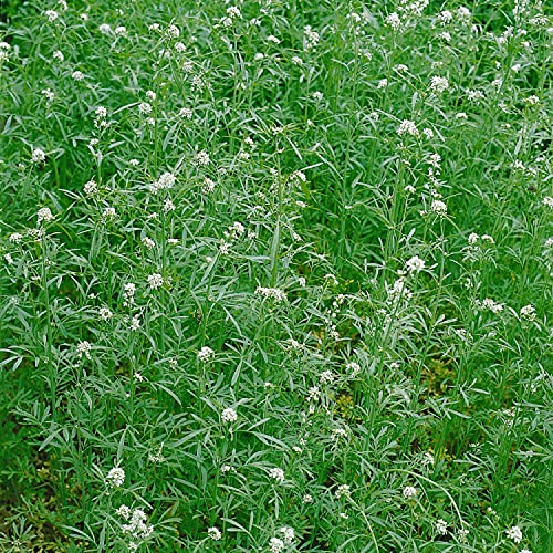 Mornings [Explicit] by Ukeme on Amazon Music - Amazon.co.uk