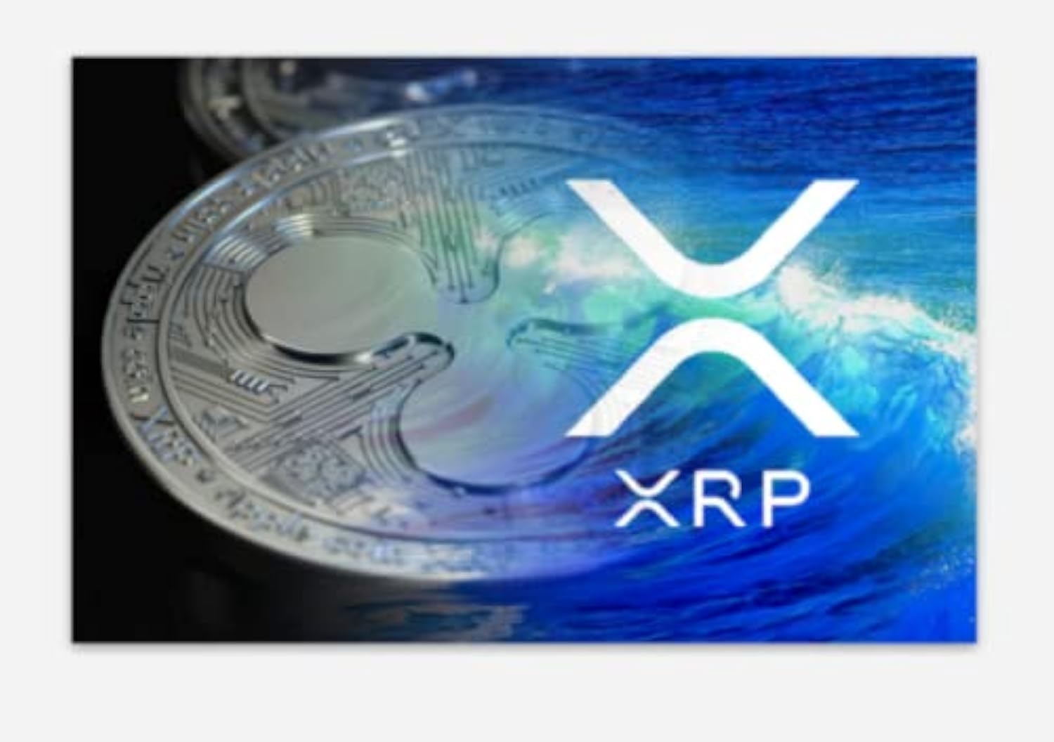 Amazon.com: Crypto-Fosho - XRP Magnet, Ripple Coin Blue Fridge Magnet ...