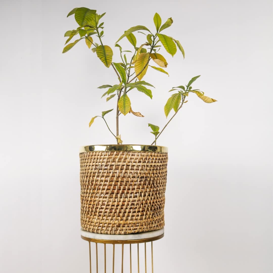 TANN TRIM The Room Side Planter-12 | Planters for Home | Planters for ...