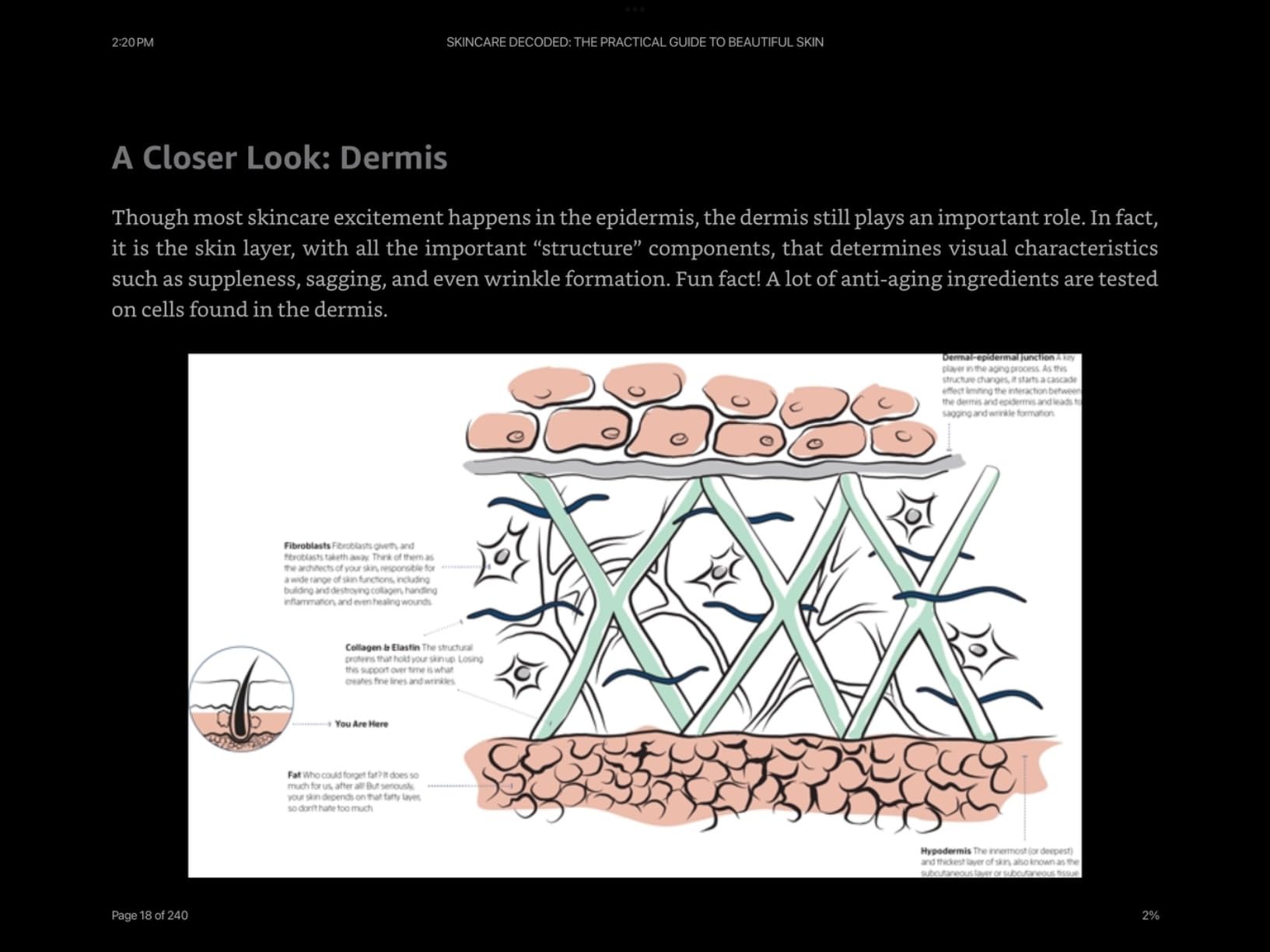 Buy Skincare Decoded: The Practical Guide to Beautiful Skin Book Online ...