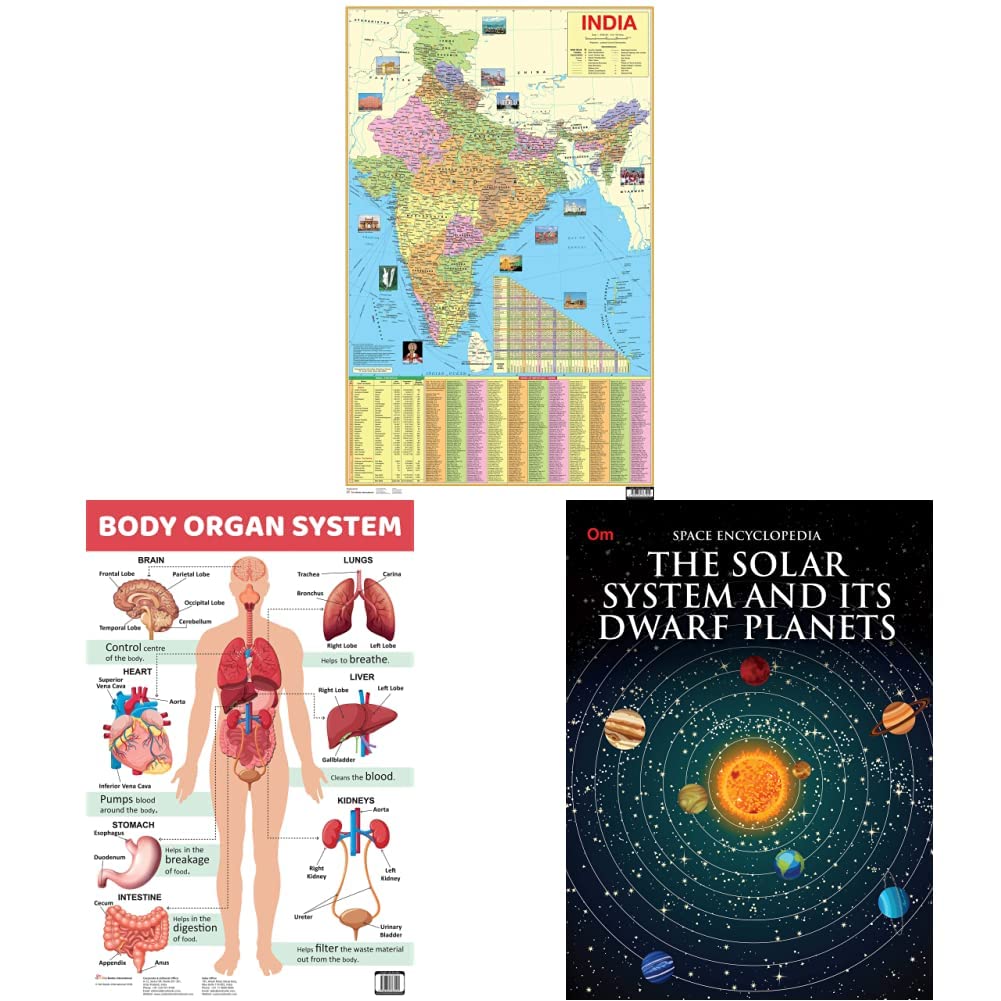 Buy Charts: India ( Wall ) & Charts: Body Organ System Charts ...