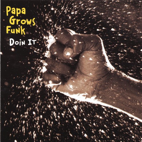 Play Doin' It by Papa Grows Funk on Amazon Music