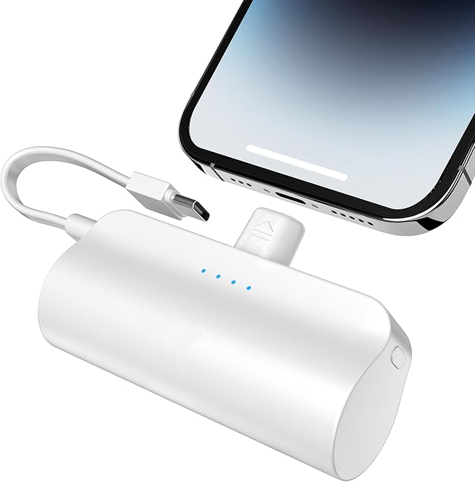 Amazon.com: Portable Charger for iPhone With Dual Infterface, 5000mAh ...