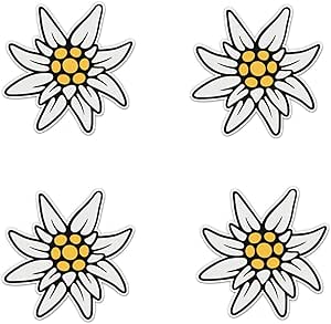 Amazon.com: Pack of 4-3 Inch Stickers - Edelweiss Flower Alps - Vinyl ...