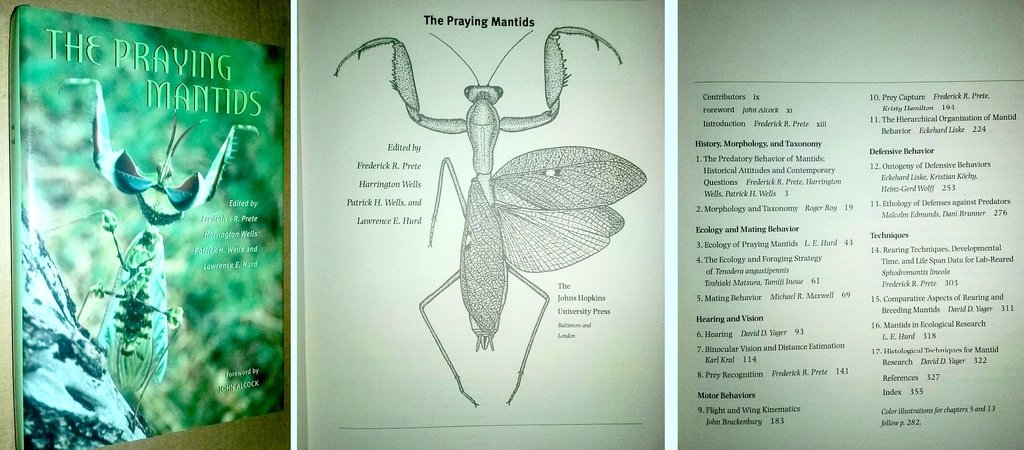 Amazon.com: The Praying Mantids: 9780801861741: Prete, Frederick R ...