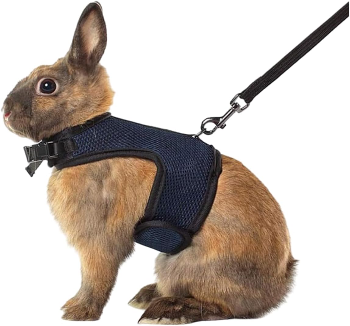 Amazon.com : MANON ROSA Rabbit Harness and Leash Set - Adjustable ...