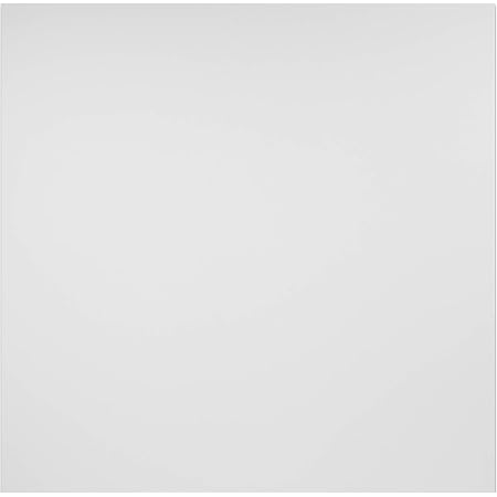 Amazon.com: Spectra Tile Waterproof Ceiling Tiles, 2X4 WH FINL CEILING ...