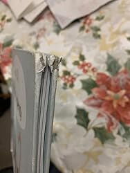 Amazon.com: 1 to 20, Animals Aplenty: 9781576876800: Viggers, Katie: Books