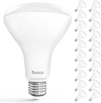 Sunco 20 Pack BR30 Light Bulbs LED, Recessed Can Light Bulbs, Indoor ...