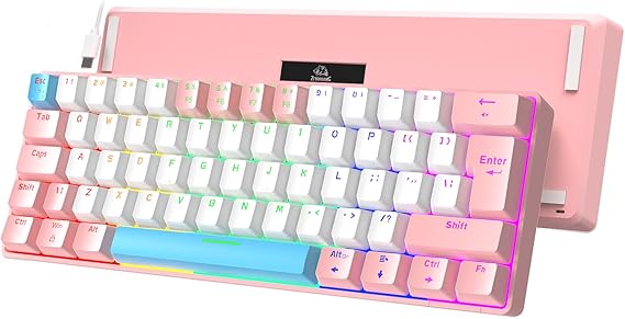 Amazon.com: ZIYOU LANG T60 Wired 60% TKL Mechanical Gaming Keyboard ...