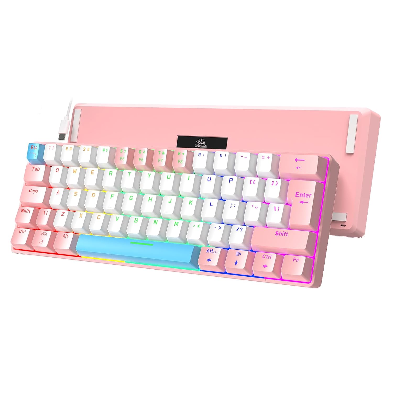 Amazon.in: Buy ZIYOU LANG T60 Wired 60% TKL Mechanical Gaming Keyboard ...