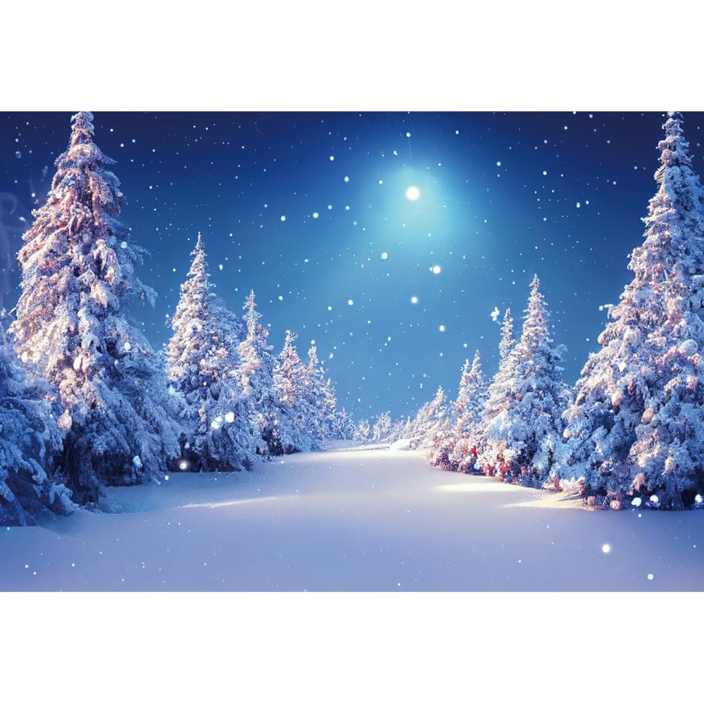 Amazon.com: Laeacco Winter Forest Backdrop 12x8FT Winter Snowy Scene ...