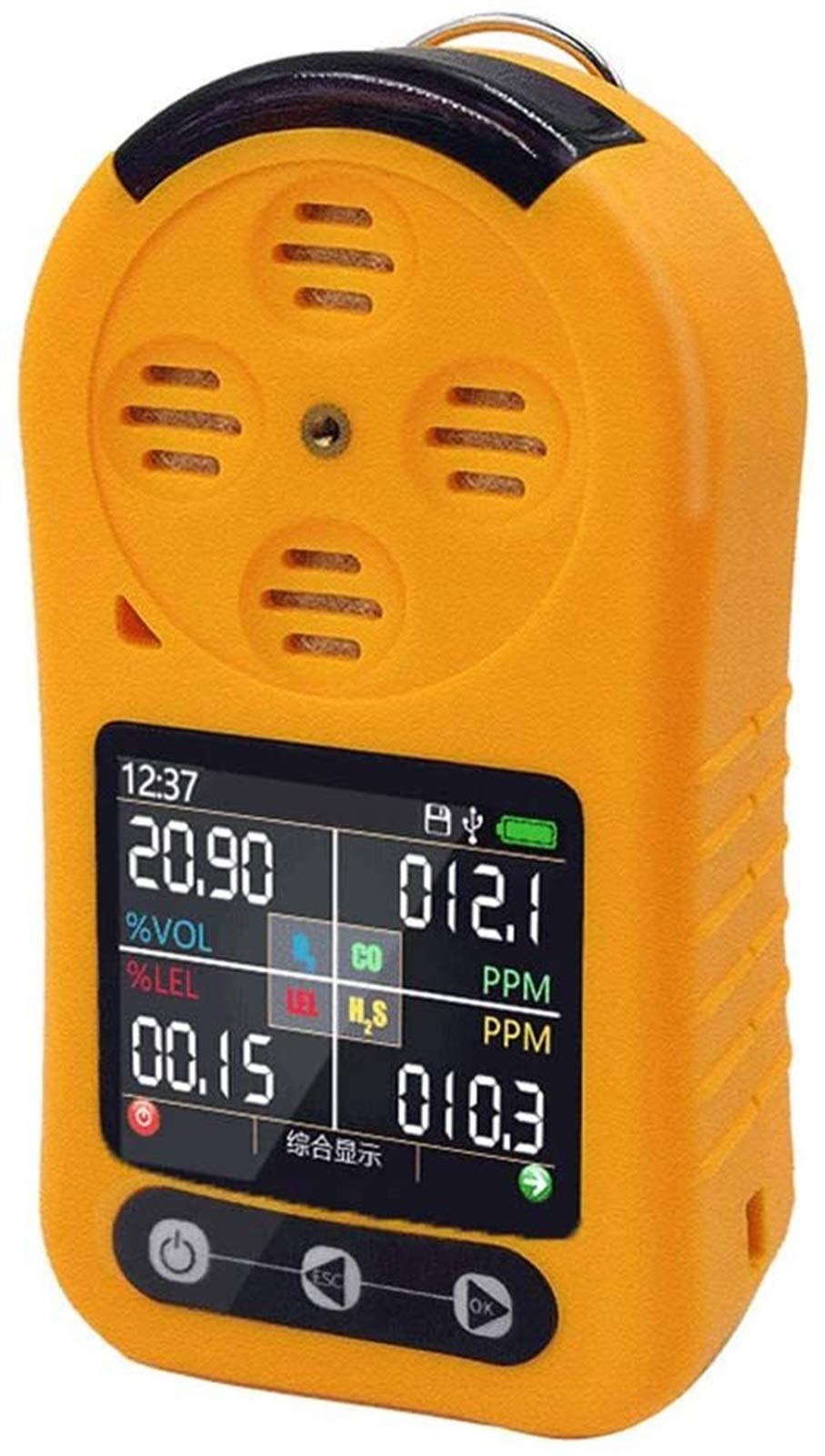 Buy WSH 4 In 1 Detector, Portable EX/O2/H2S/CO Detector Toxic And ...