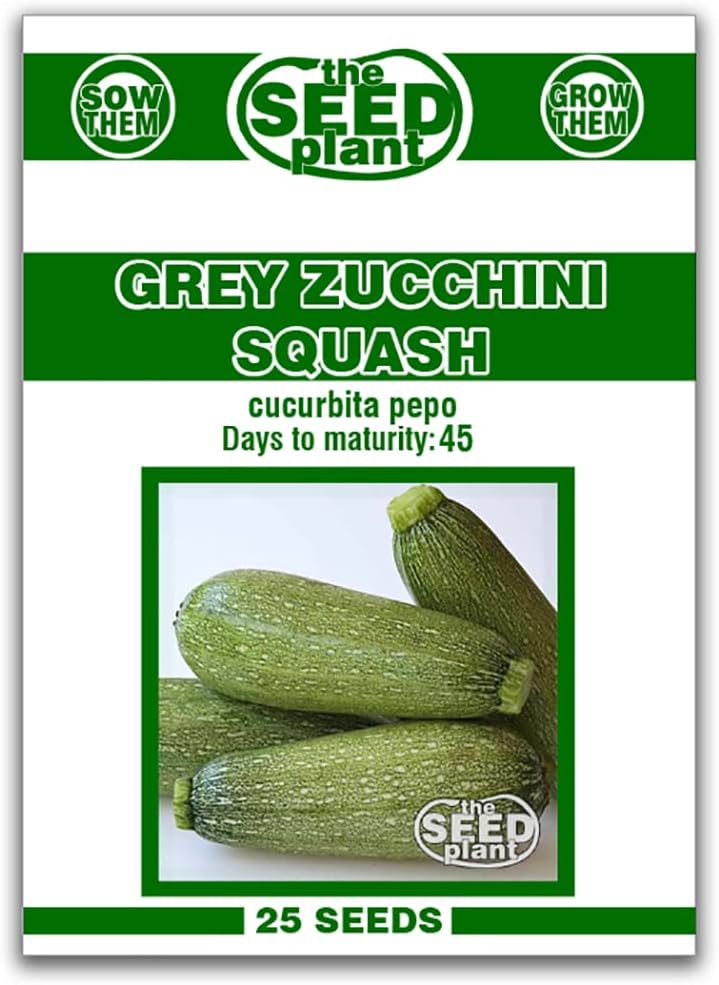 Amazon.com : Grey Zucchini Squash Seeds - 25 Seeds Non-GMO : Patio ...