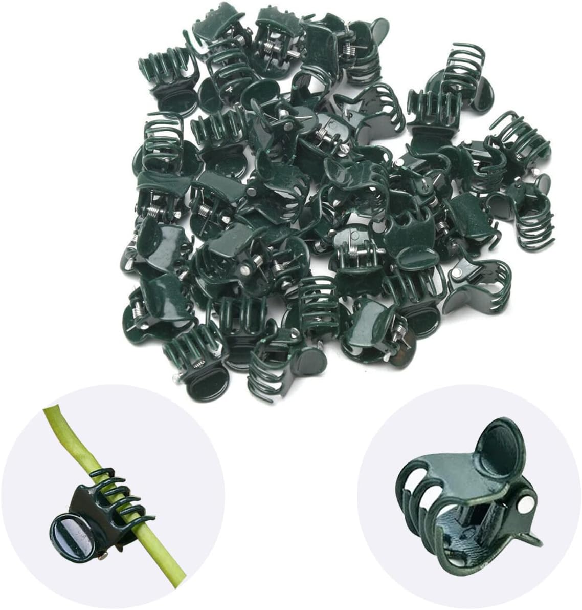 Amazon.com : JFFX Plant Orchid Clips, 100 Pcs Orchid Clips Plant ...