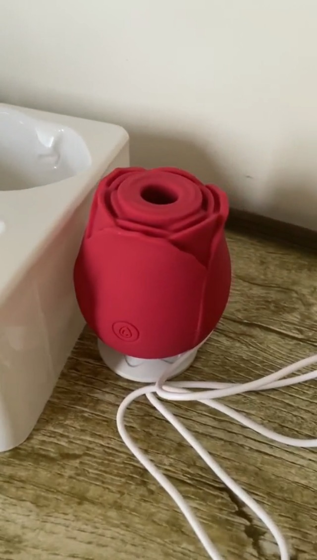 Watch Rose Toy for Women on Amazon Live