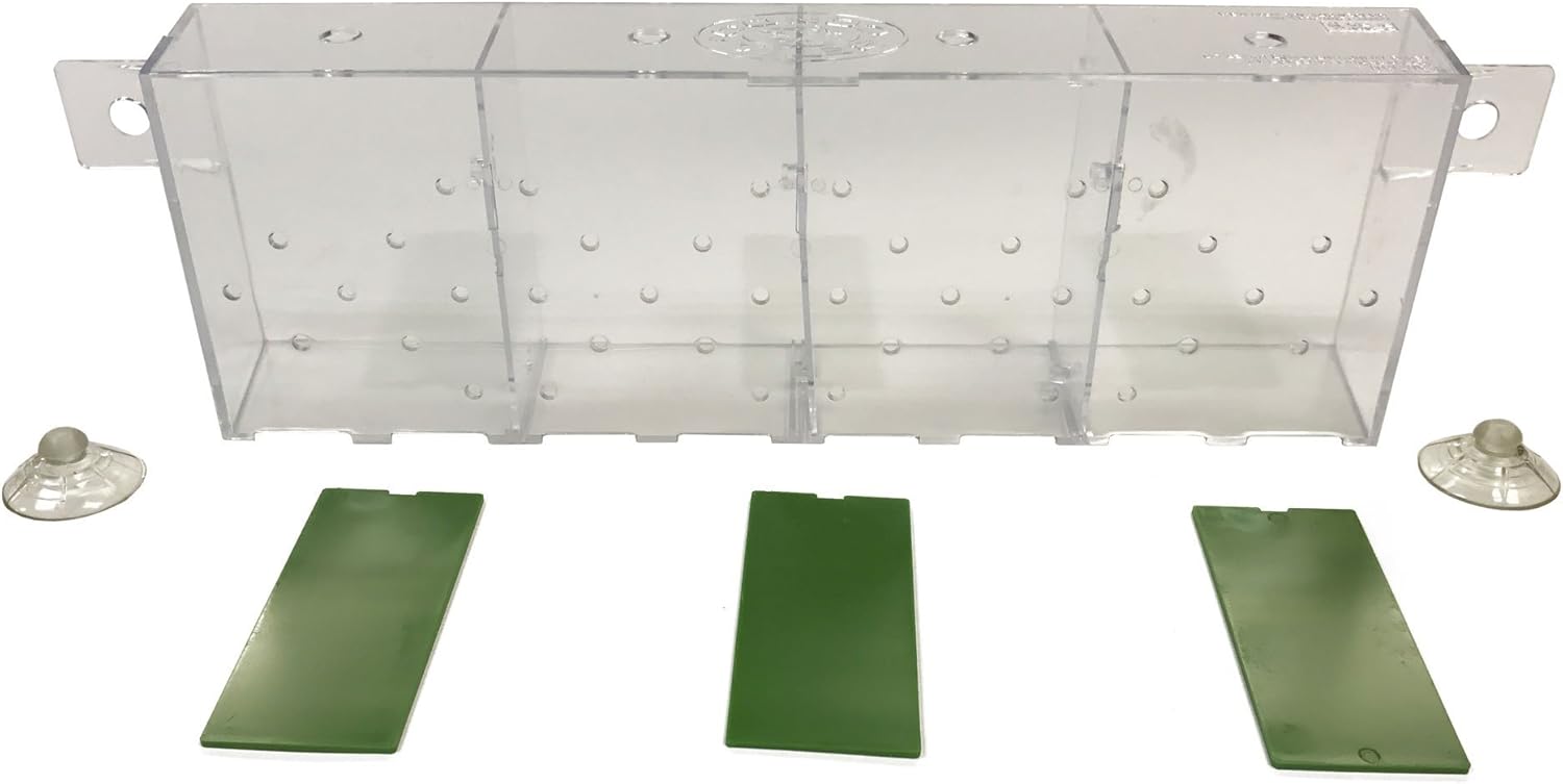 Penn-Plax World Betta Fish Condo : Amazon.co.uk: Pet Supplies