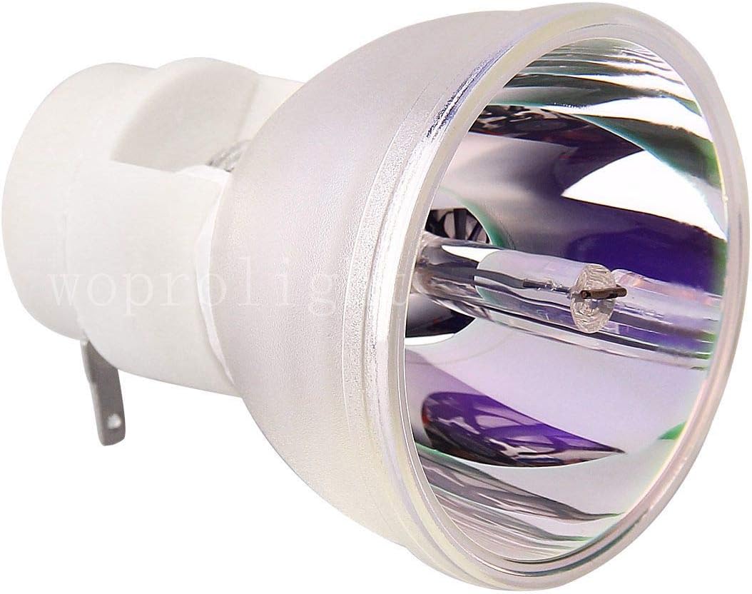 Amazon.com: Premium Quality 230W/0.8 E20.8 Projector Bulb fit for ...