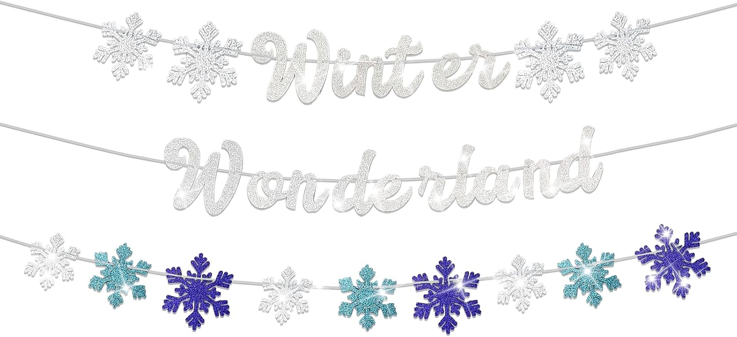 Amazon.com: 3pcs Winter Wonderland Banner Glittery Snowflake Banner ...
