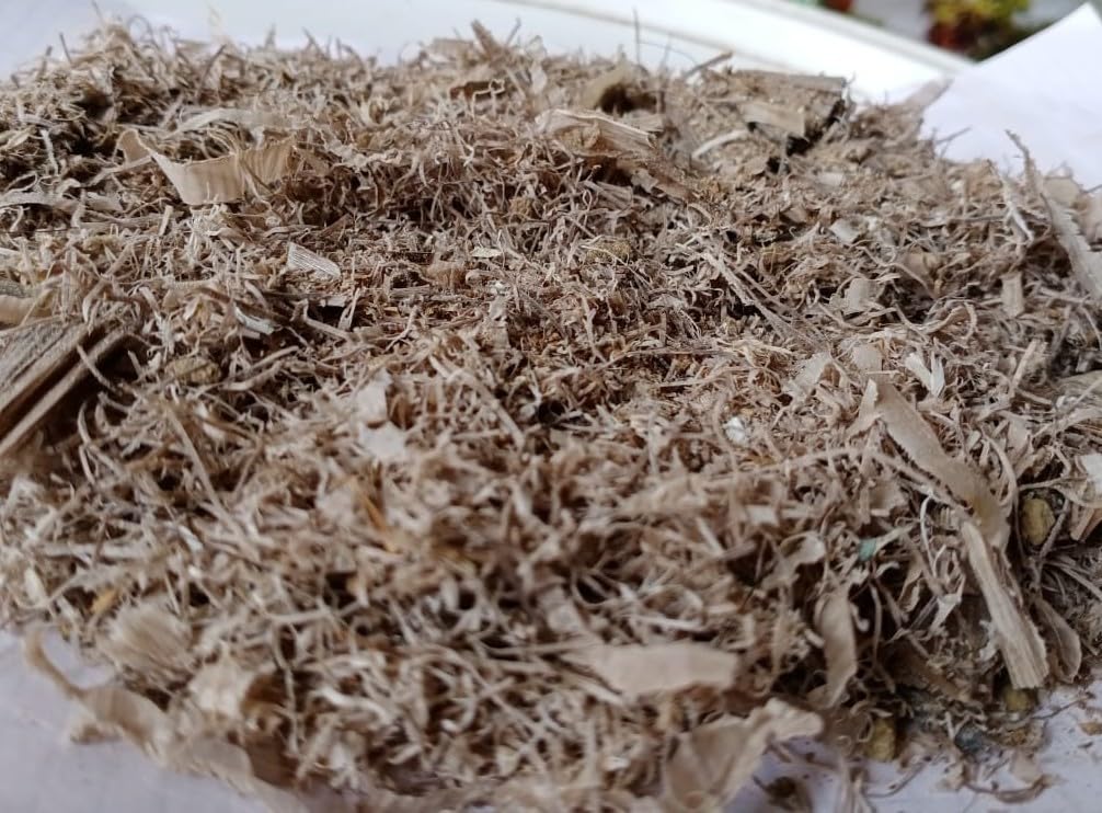 Horn dust for plants (1 kg) : Amazon.in: Garden & Outdoors