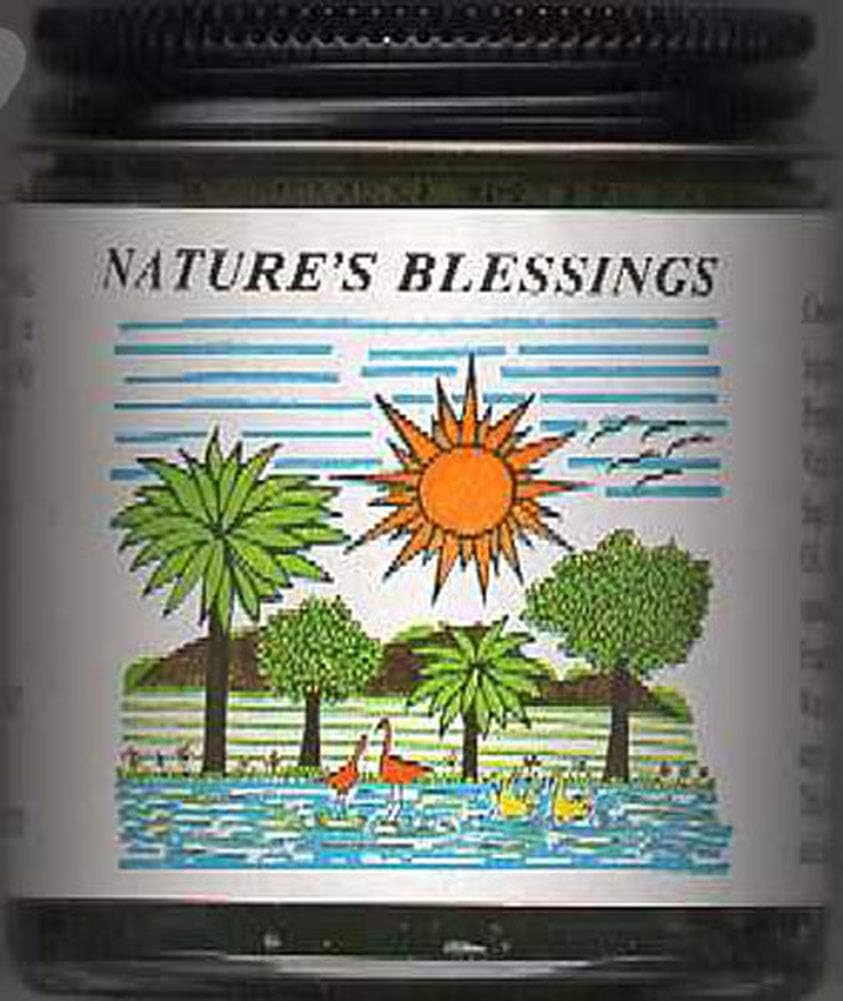 Amazon.com: Nature's Blessings Hair Pomade (All Natural Ingredients ...