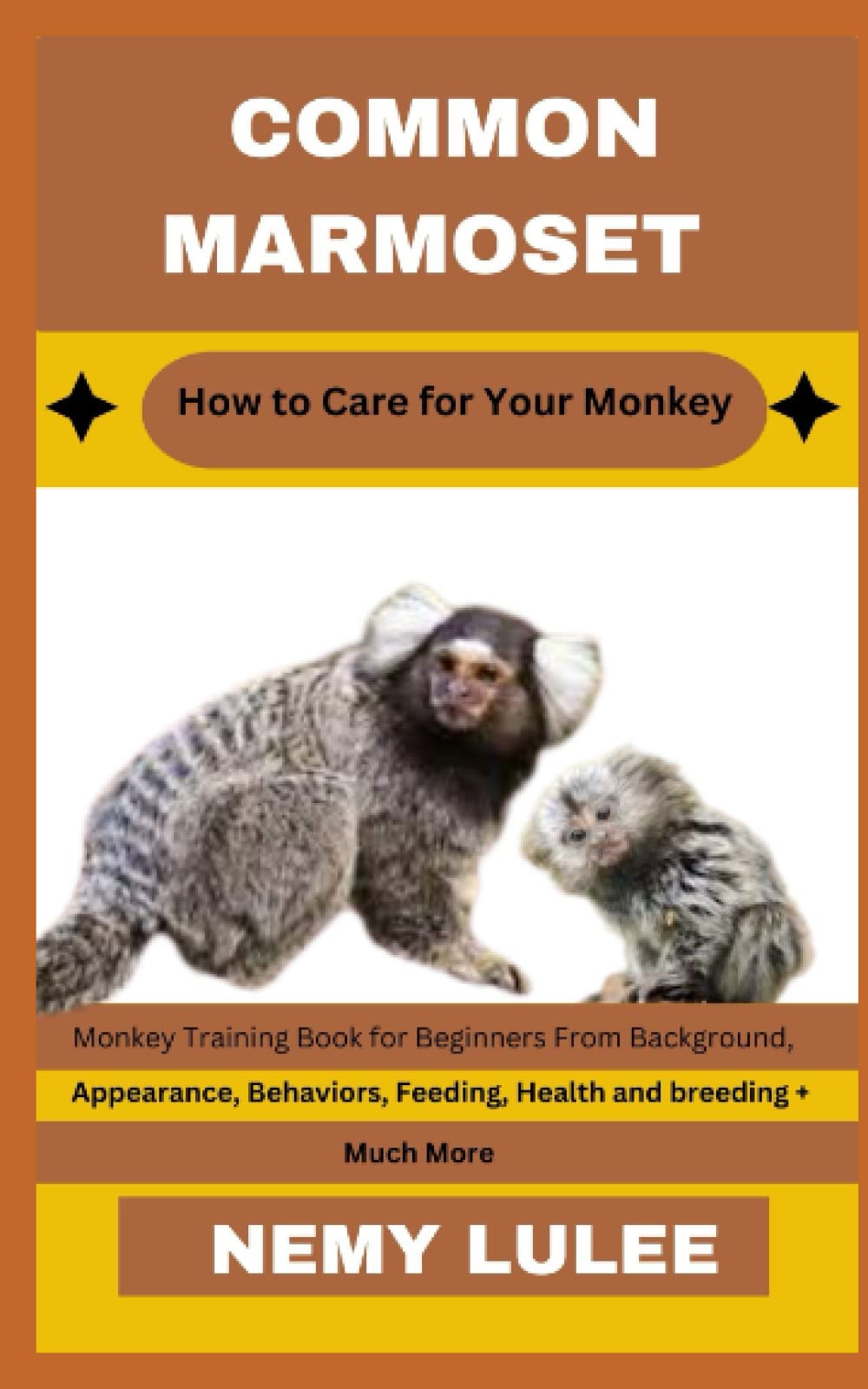 Pet Common Marmoset Monkey
