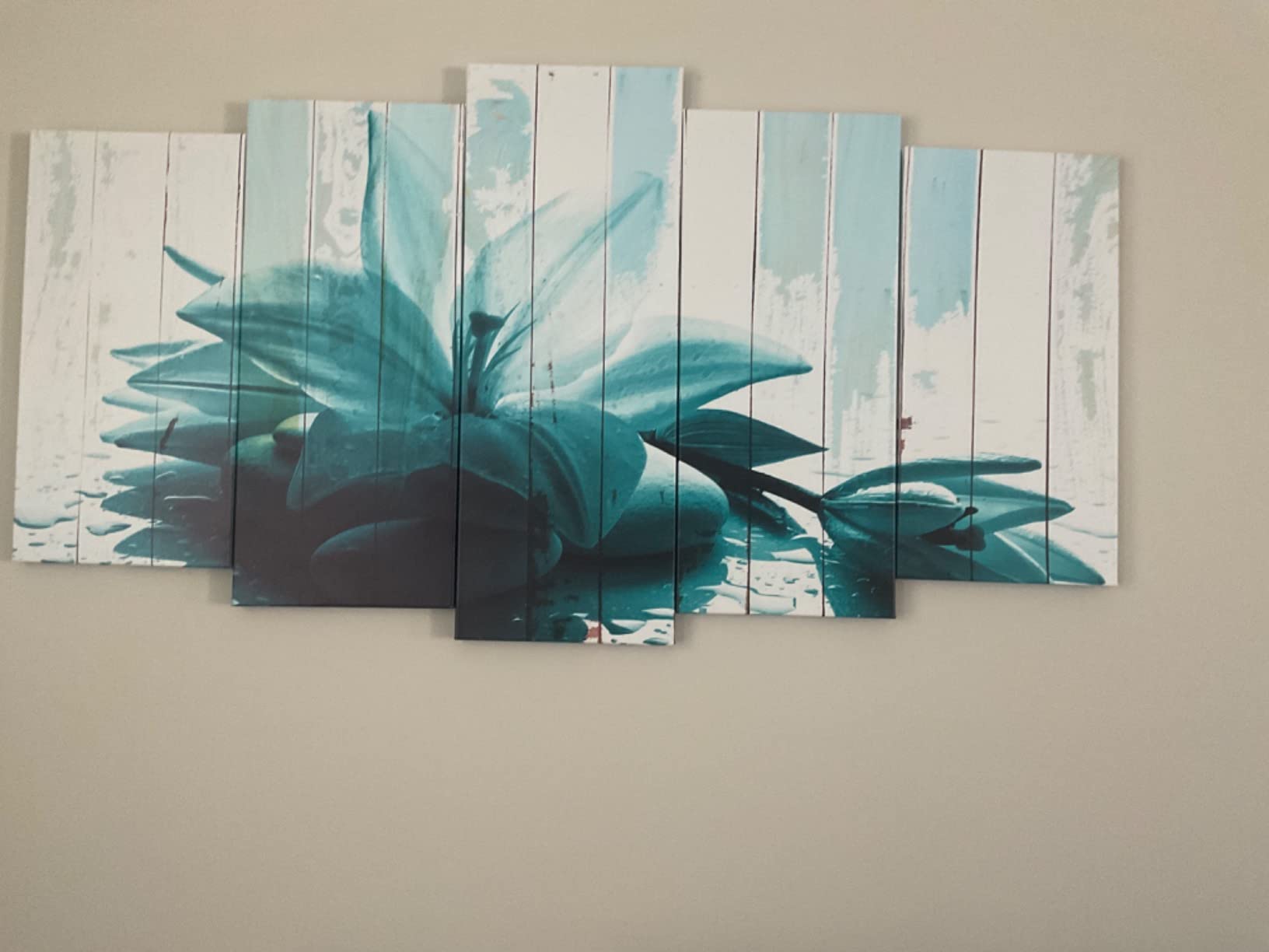 Amazon.com: Visual Art Decor Large L-60 x H-32 Flowers Picture Wall Art ...