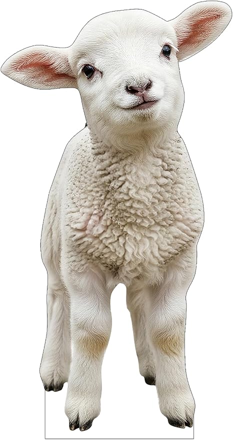 Amazon.com: 111PRINT Baby Lamb 1FT Life Size Cardboard Cutout, Farm ...