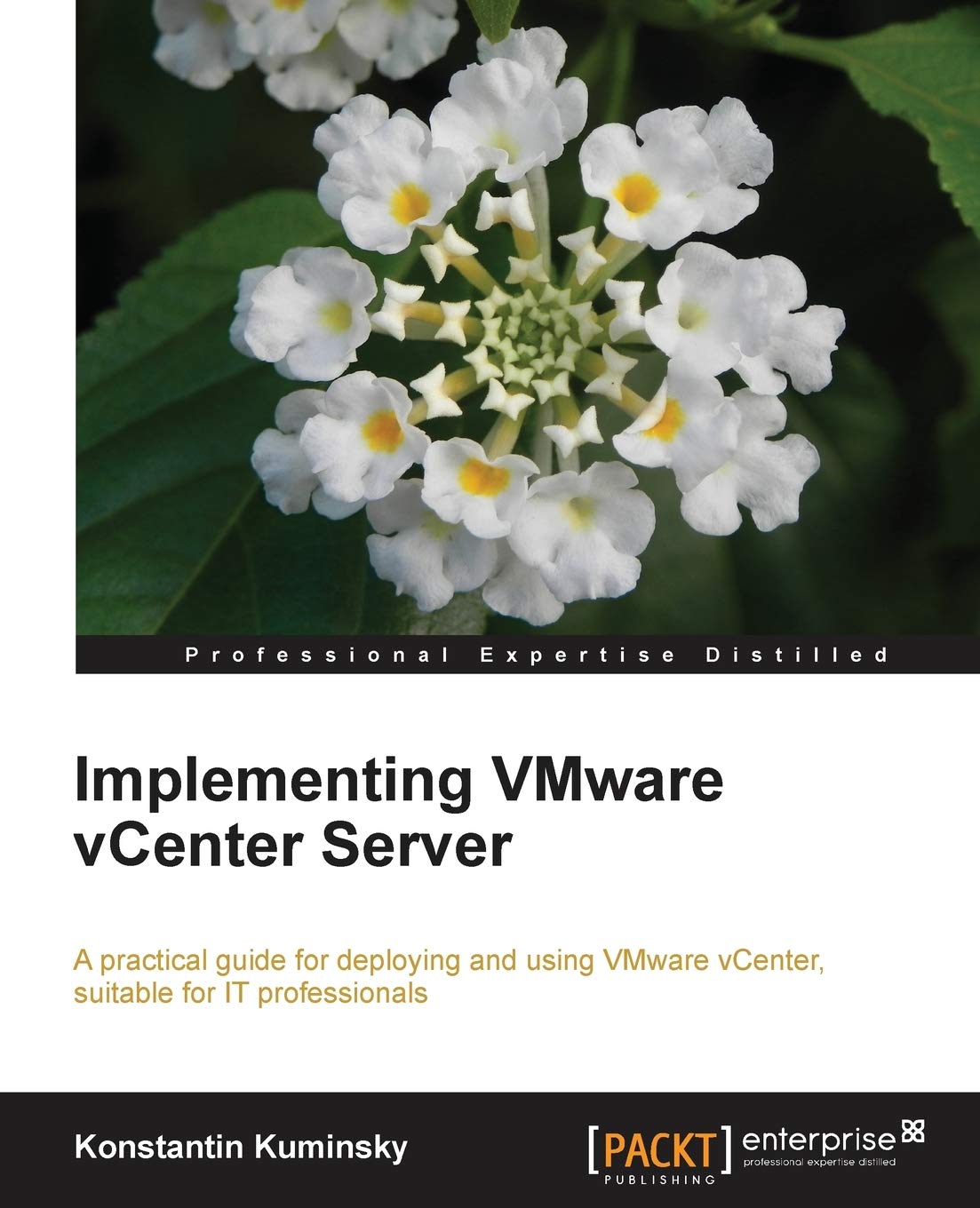 Amazon.com: Implementing Vmware Vcenter Server: 9781849689984: Kuminsky ...