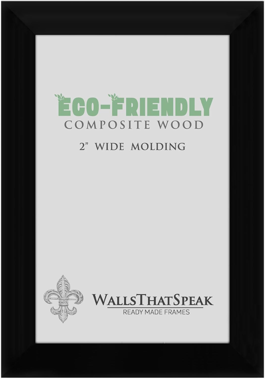 Amazon.com - wallsthatspeak 15x26 Black Picture Frame for Posters ...