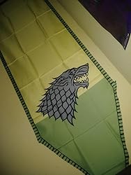 Amazon.com: Game of Thrones- Stark Winterfell Tournament Banner Fabric ...