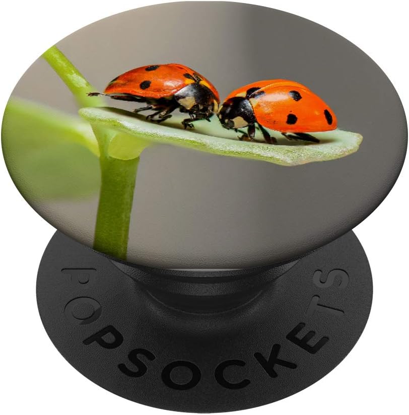 Amazon.com: Ladybug Bug Insect Nature Animal Gift : Cell Phones ...