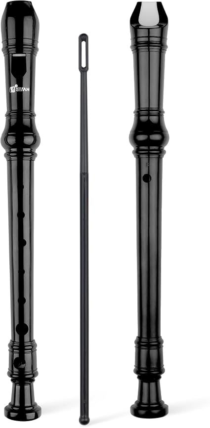 Amazon.com: SWAN Soprano Recorder Instrument for Beginners Student ...