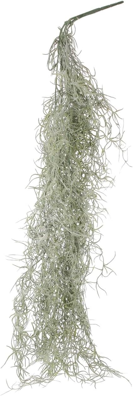 Amazon.com: BESTOYARD 36-Inch Realistic Artificial Spanish Moss, Large ...