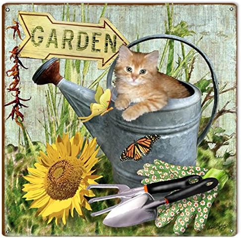 Amazon.com: Victory Vintage Signs Kitten in The Garden Country Sign ...