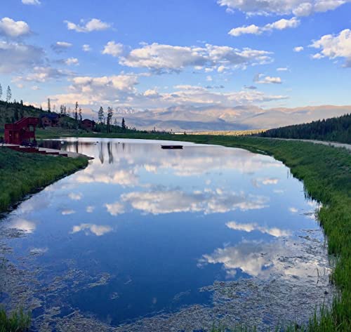 Amazon.com: Dr. David Levy - God's Wisdom Freshly Revealed : Dr. David ...