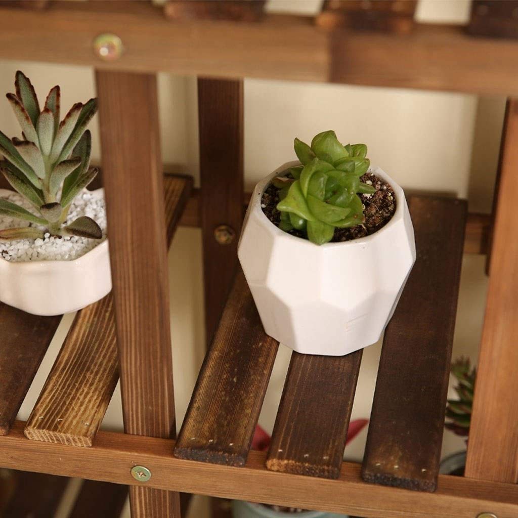 Multi Level Succulent Arrangement Multilevel Planter Etsy