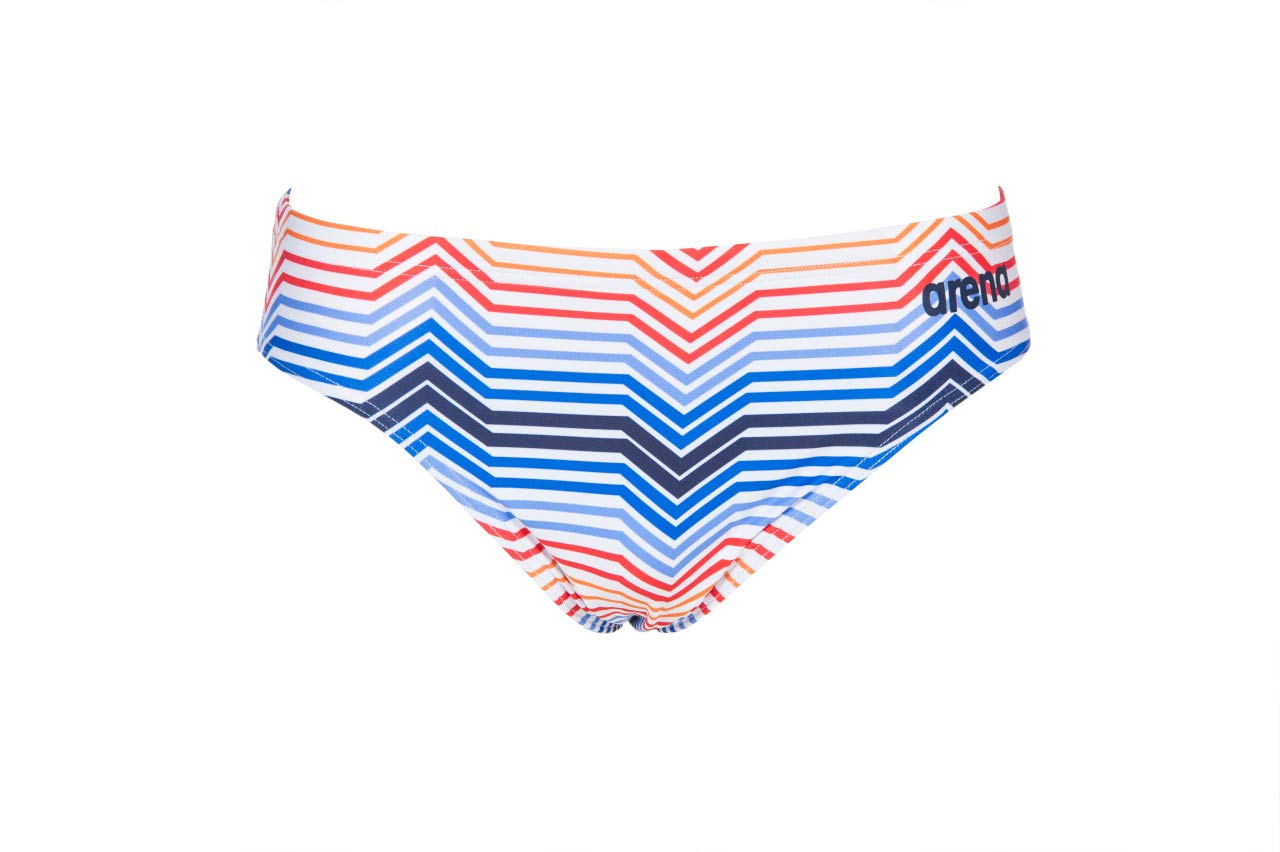 Arena Mens Iridescent Stripe Maxlife Brief Swimsuitswim Briefs ...