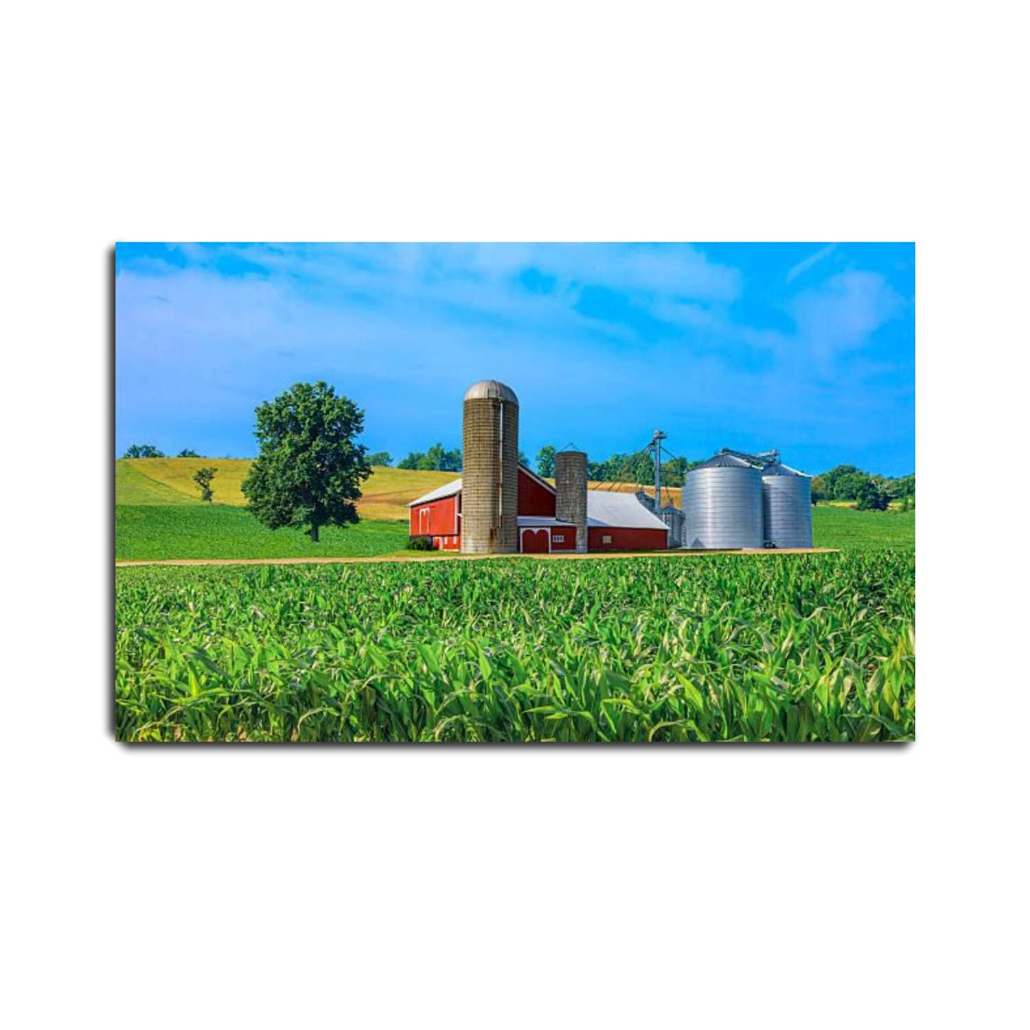 Farm Crop Pictures To Print