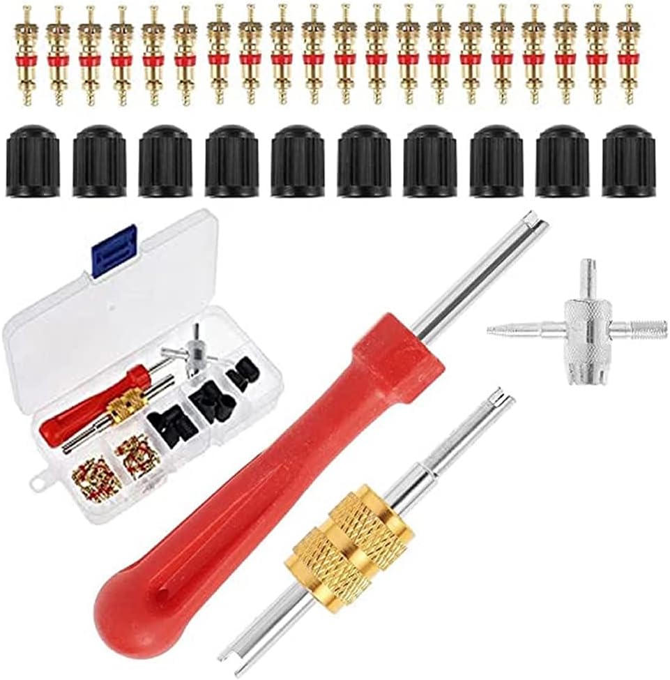 Jindizi 33 PCS Tire Valve Stem Puller Tools Set, Include Tyre Valve ...