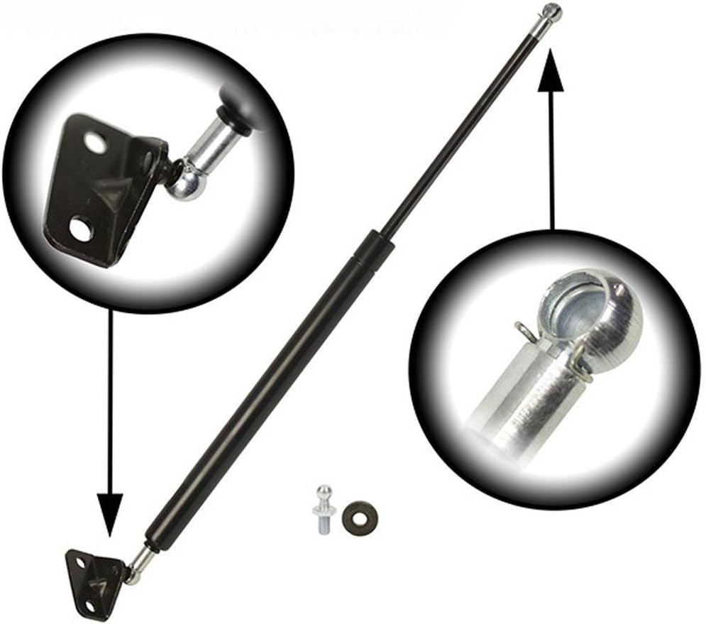 Amazon.com: Lift Supports Depot Qty (2) Compatible with Toyota 4Runner ...