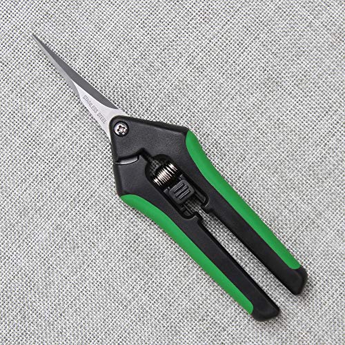 5 Best Bud Trimming Scissors 2022 Round-up Review & Guide
