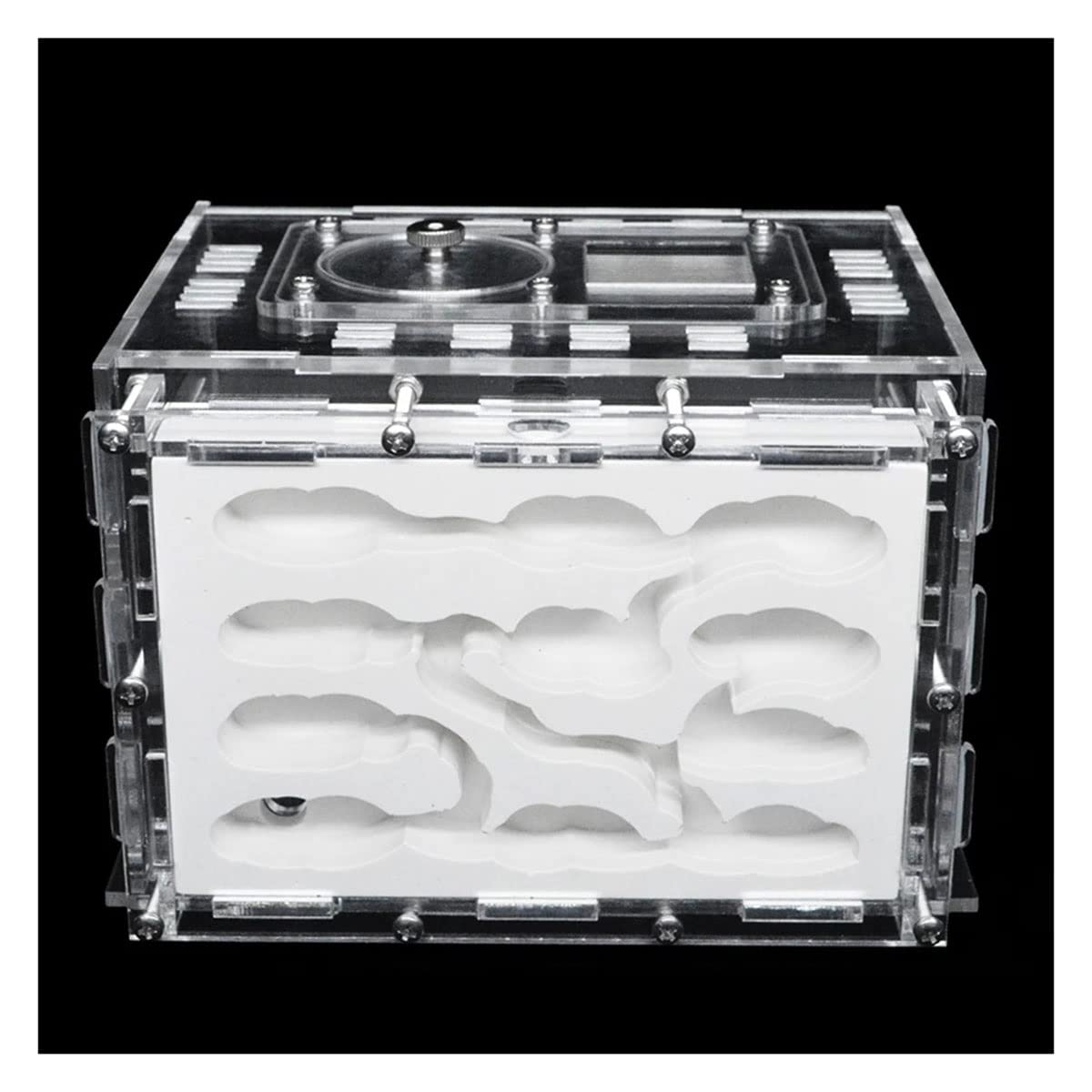 Buy ZHL DIY Acrylic Ant Farm Ant Colony Breeding Nest Gypsum Ecological ...