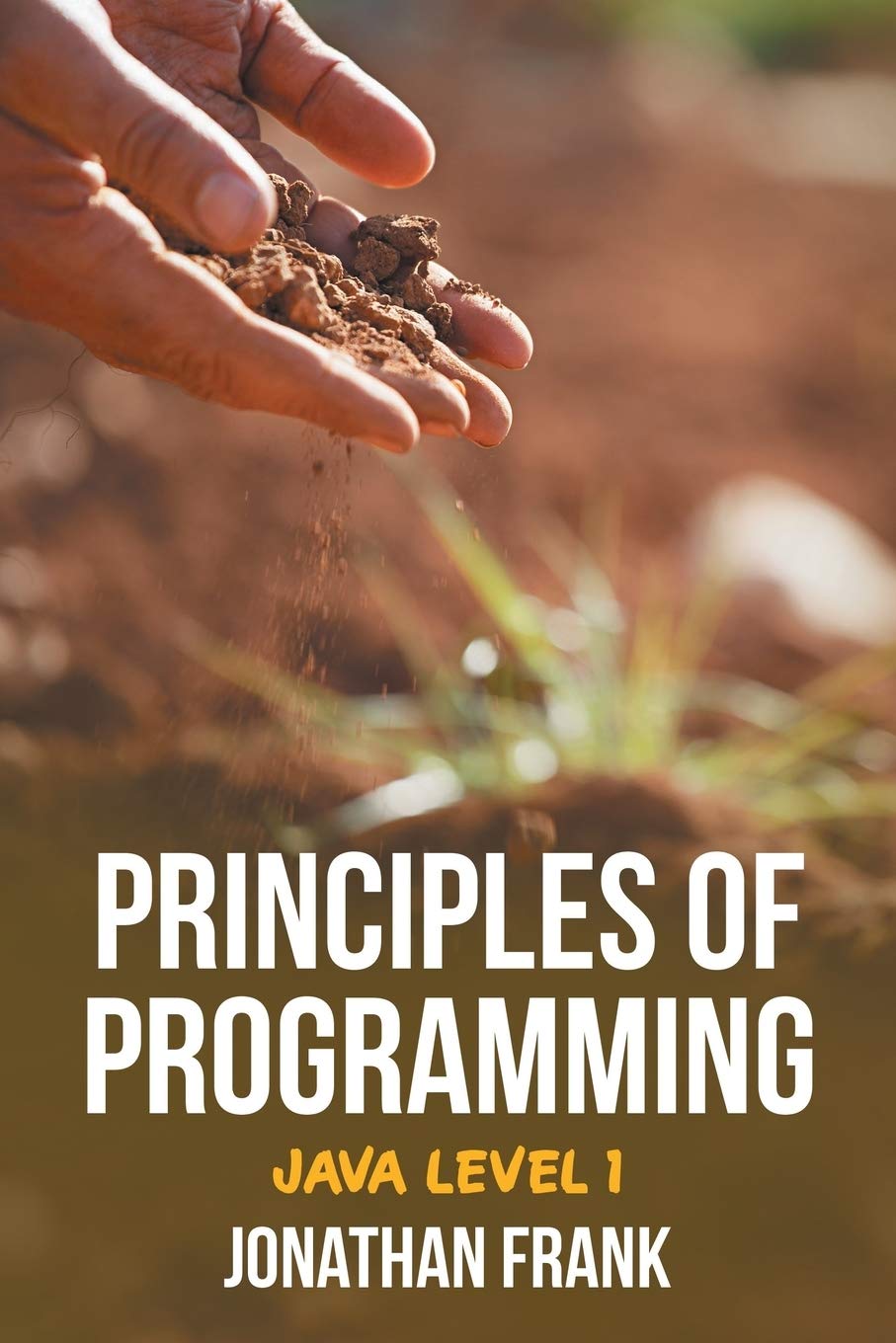 Principles of Programming: Java Level 1: Frank, Jonathan: 9781514430385 ...